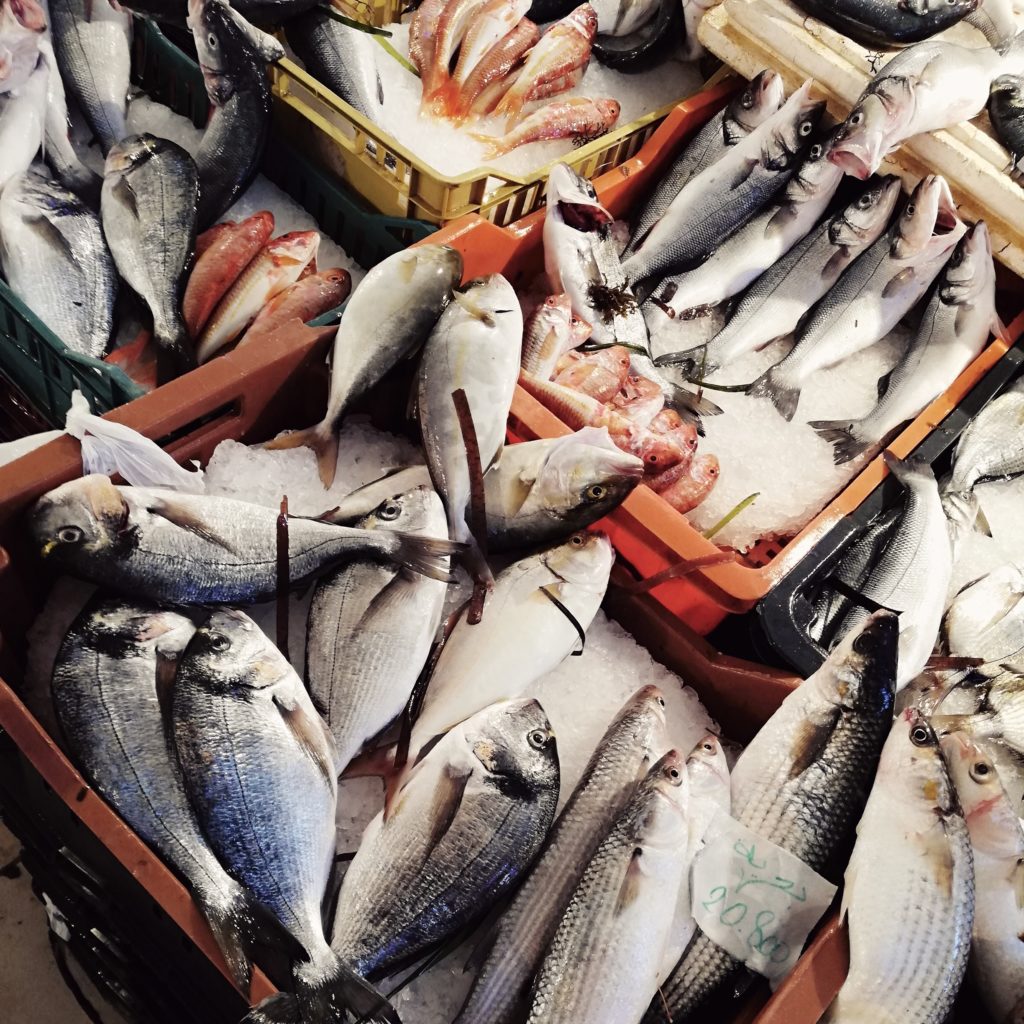 Photos: visite marché de poisson Bizerte - Pêche en Tunisie