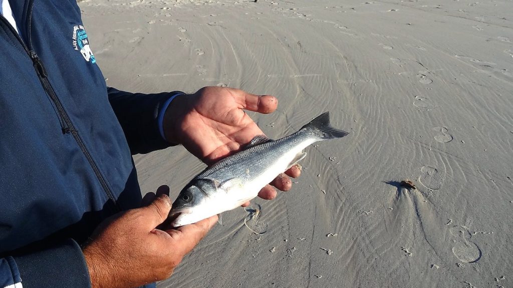 Menzel Horr l’endroit paradisiaque en tunisie - Pêche en Tunisie